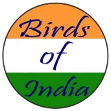 Hindi Names of Birds | Birds of India